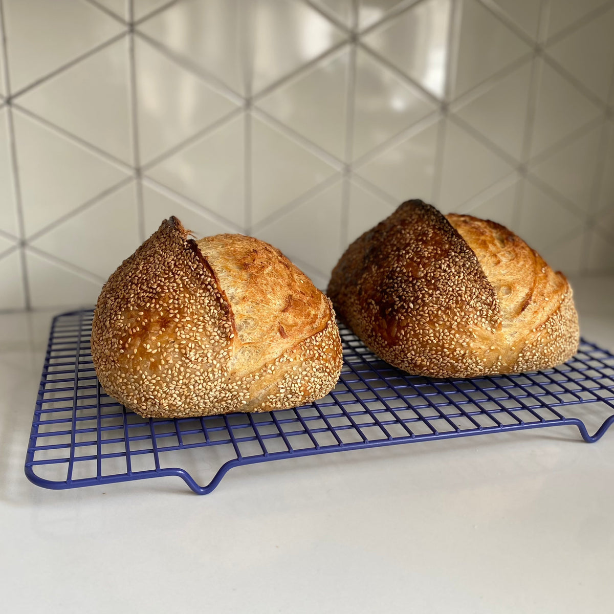 Big Chill Cooling Rack | Great Jones Cooling Rack | Halifax Canada ...